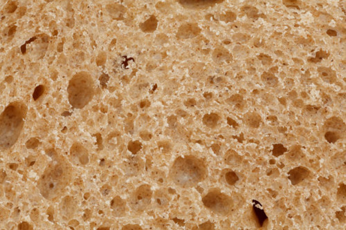 Investigating Microbes on Bread with Microslides – Precision Laboratories